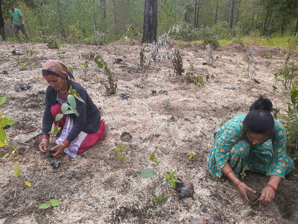 Carbon Stories from the Ground: Reviving community forests in Uttarakhand